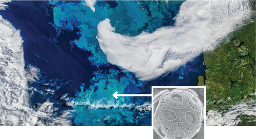 ChemMatters - April 2025 The Colors of Climate Change
