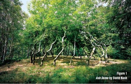 Civil Engineering - June 2011 Learning from Nature