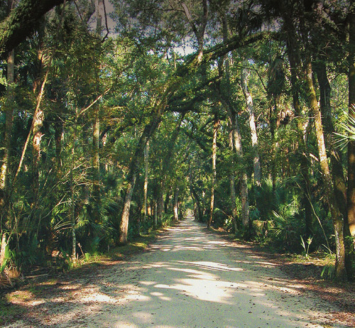 Civil Engineering - December 2019 Pioneering Pathway: The King’s Road