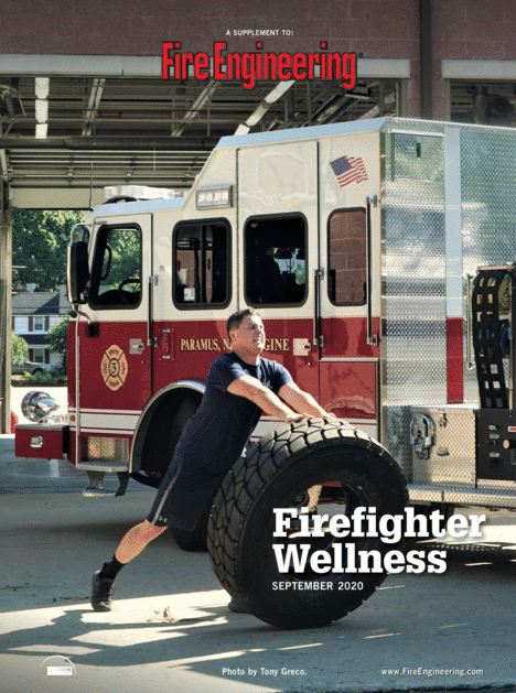 Clarion Supplements - Issue Library