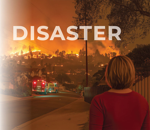 Club Director - Responding to DISASTER