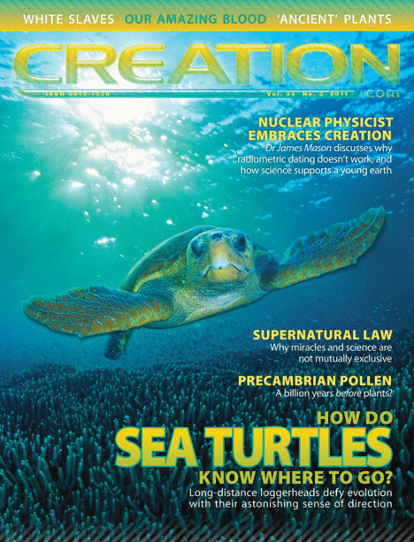 Creation - Issue Library