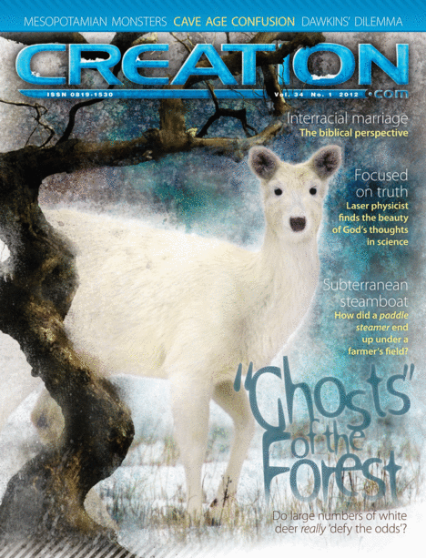 Creation - Issue Library