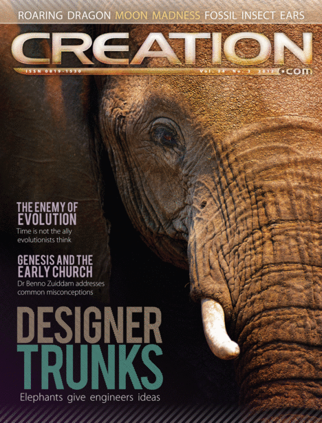 Creation - Issue Library