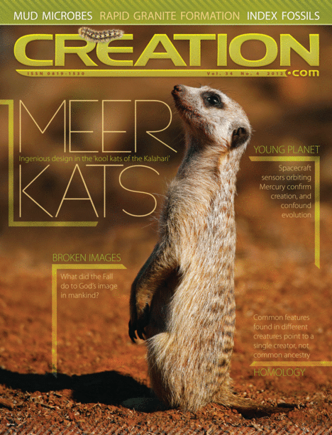 Creation - Issue Library