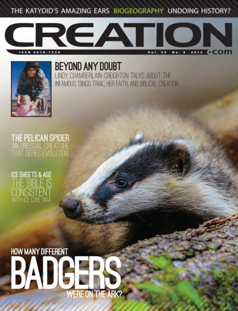 Creation - Issue Library