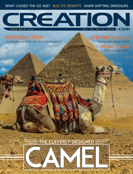 Creation - Issue Library