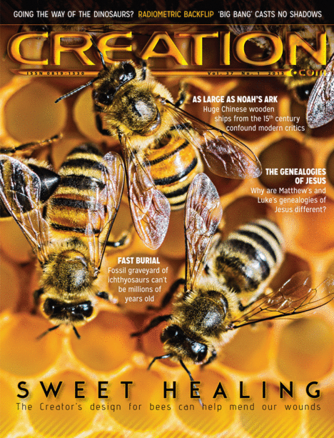 Creation - Issue Library