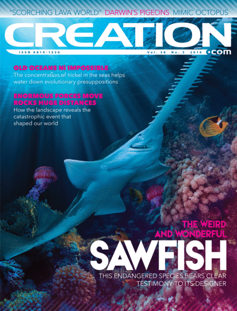 Creation - Issue Library