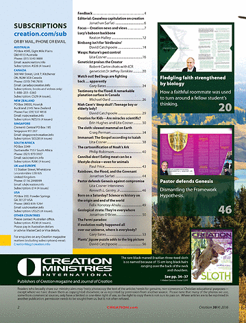 Creation - 2016 Volume 38, Issue 4