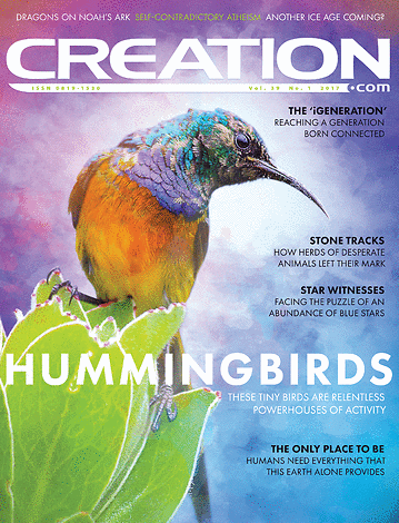 Creation - 2017 Volume 39, Issue 1
