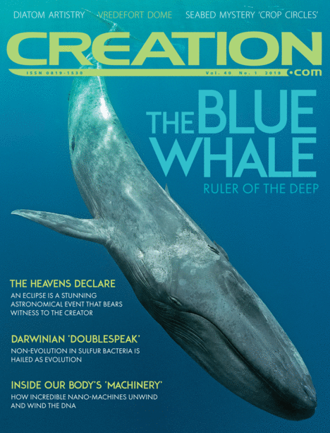 Creation - Issue Library