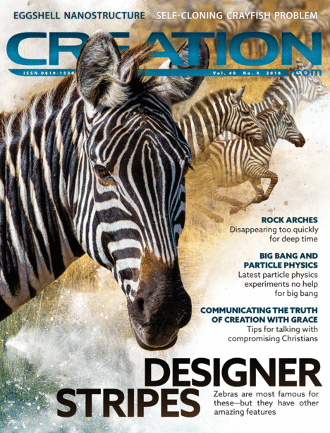 Creation - Issue Library