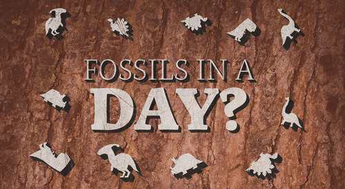 Creation - 2019 Volume 41, Issue 3 FOSSILS IN A DAY? Creation - 2019 Volume 41, Issue 3 FOSSILS IN A DAY?