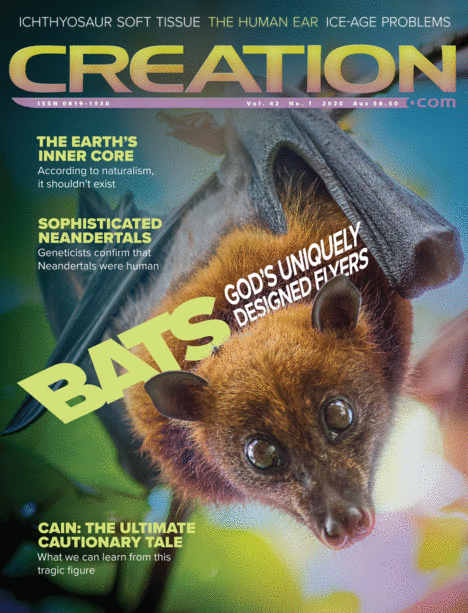 Creation - Issue Library