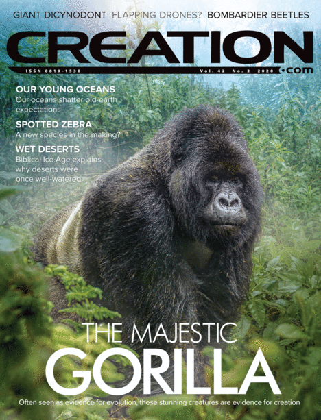 Creation - Issue Library