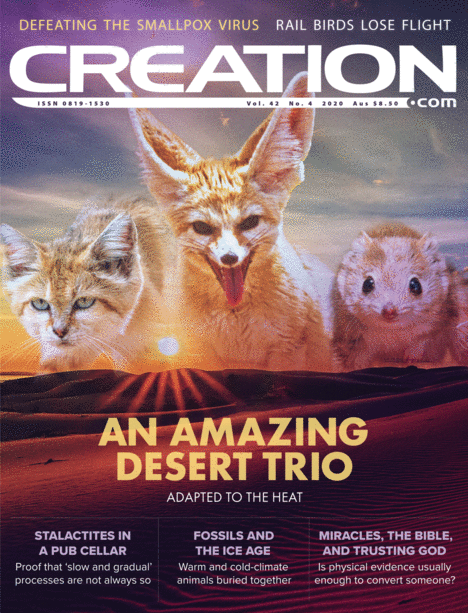 Creation - Issue Library