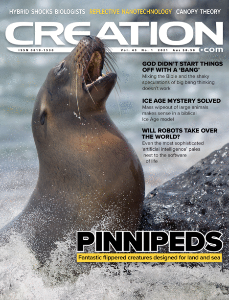 Creation - Issue Library