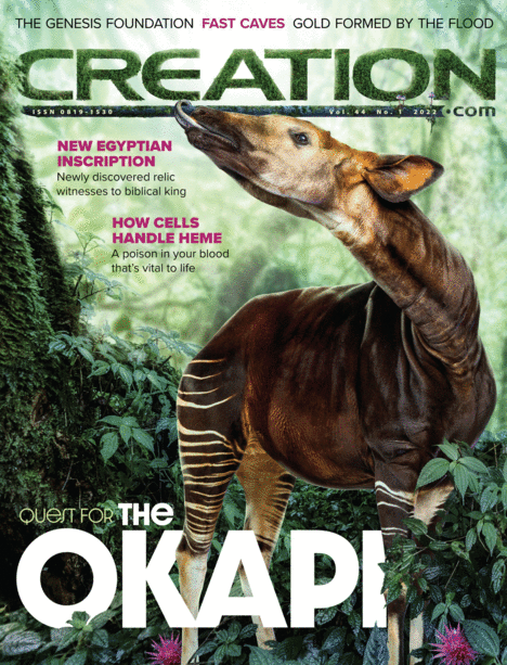 Creation - Issue Library