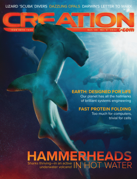 Creation - Issue Library