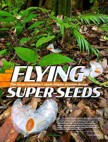 Creation - 2024 Volume 46 Issue 1