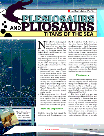 Creation - 2024 Volume 46 Issue 1