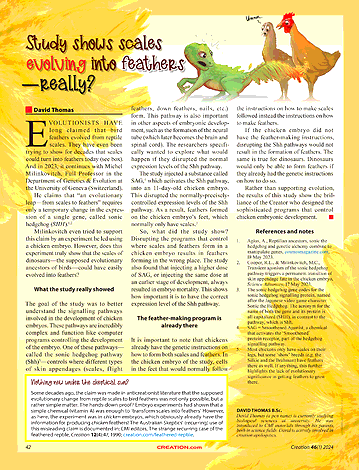 Creation - 2024 Volume 46 Issue 1