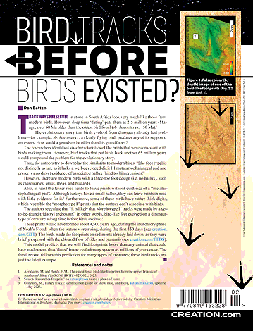 Creation - 2024 Volume 46 Issue 2