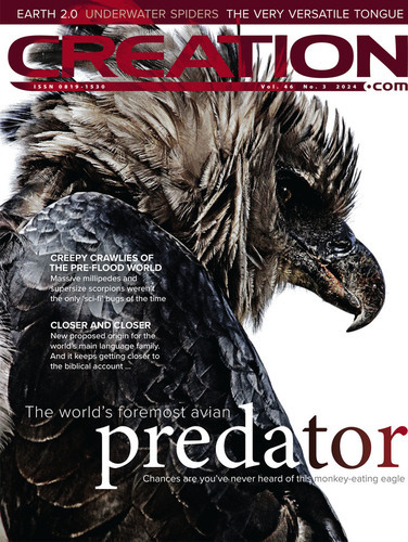 Creation - 2024 Volume 46 Issue 3 COVER