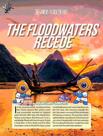 Creation - 2024 Volume 46 Issue 3