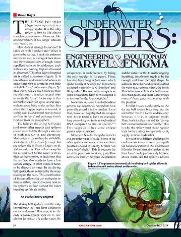 Creation - 2024 Volume 46 Issue 3