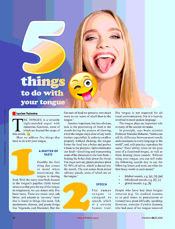 Creation - 2024 Volume 46 Issue 3