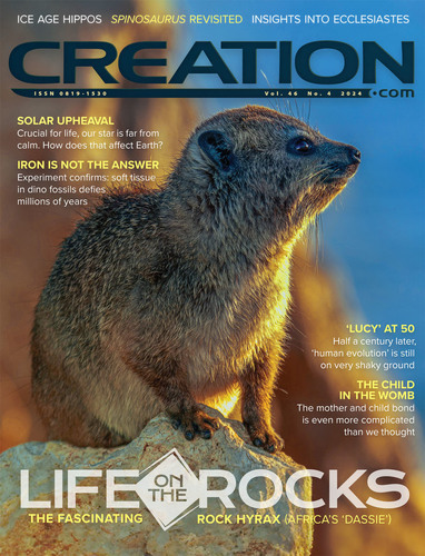 Creation - 2024 Volume 46 Issue 4 COVER