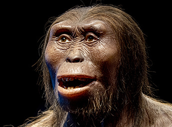 Creation - 2024 Volume 46 Issue 4 LUCY AT 50 HAS NOT AGED WELL