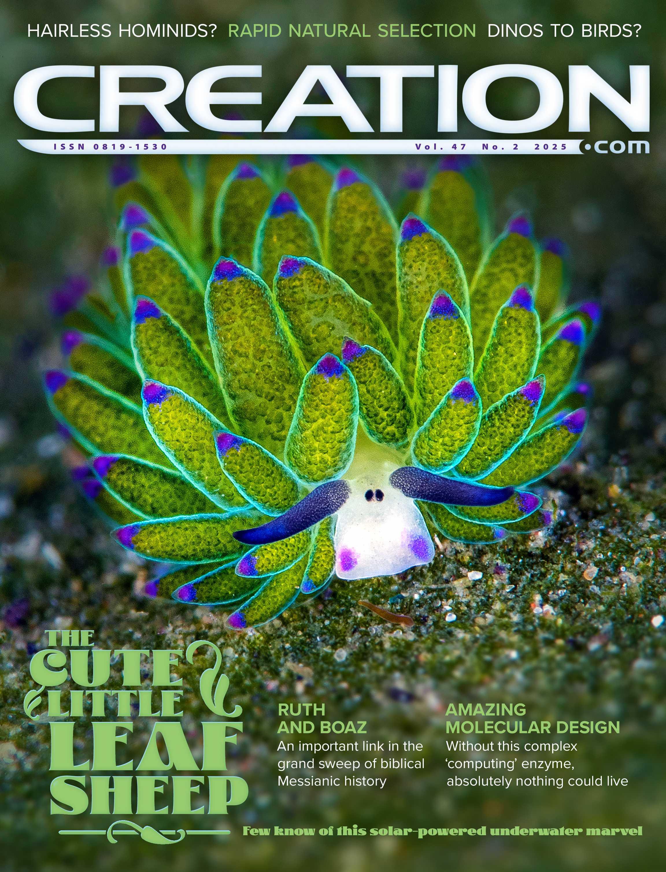 Creation - 2025 Volume 47 Issue 2