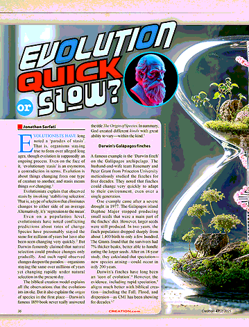 Creation - 2025 Volume 47 Issue 2