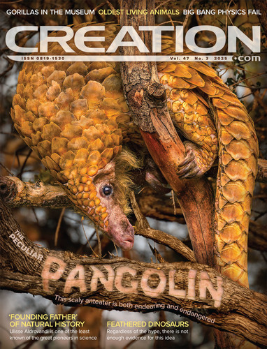 Creation - 2025 Volume 47 Issue 3 COVER