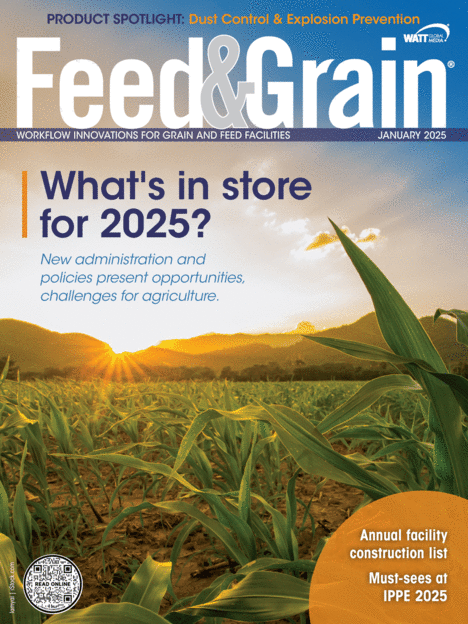 Feed and Grain - Cover