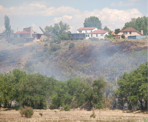 Fire Engineering - July 2019 Structural Triage in the Wildland Urban ...