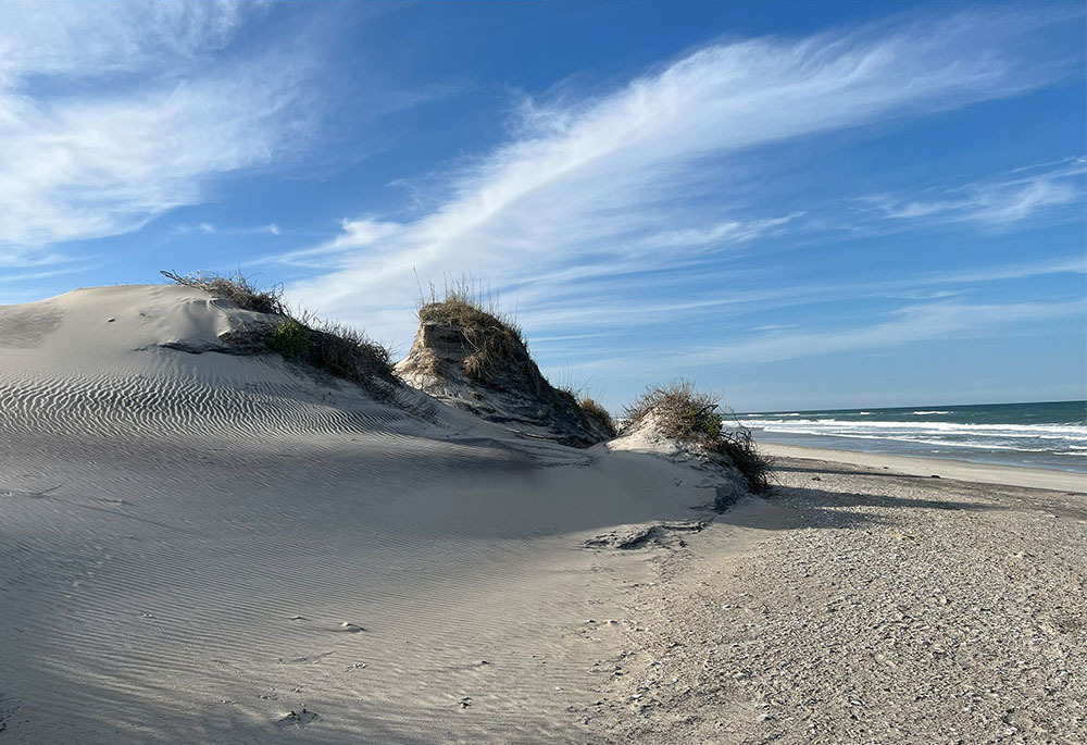 Geostrata - August/September Biocementation For Coastal Protection