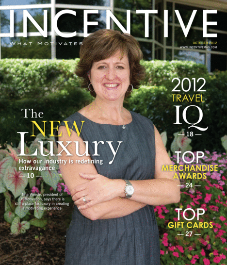 Incentive - Issue Library