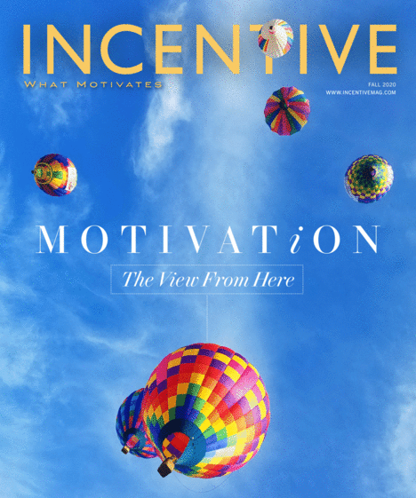 Incentive - Issue Library