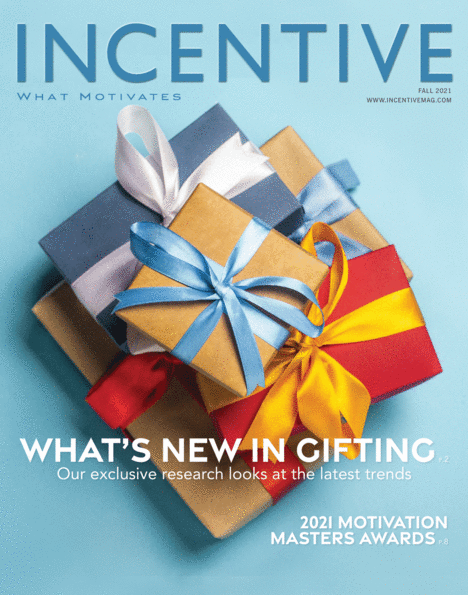 Incentive - Issue Library
