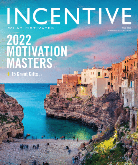 Incentive - Issue Library