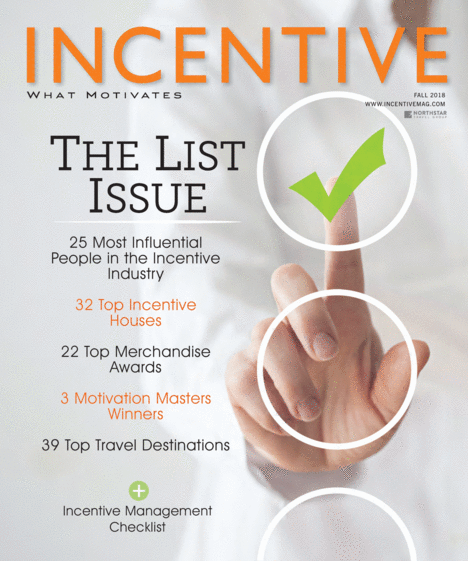 Incentive - Issue Library