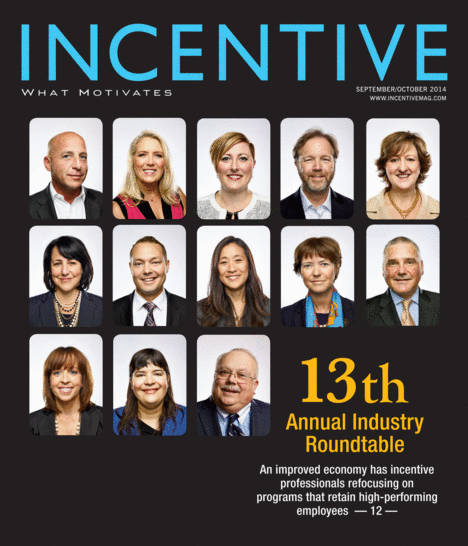 Incentive - Issue Library