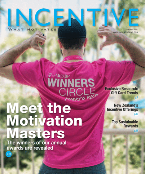 Incentive - Issue Library