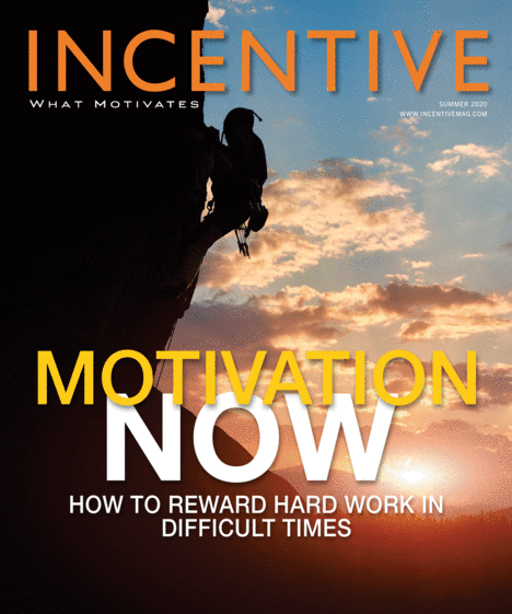 Incentive - Issue Library