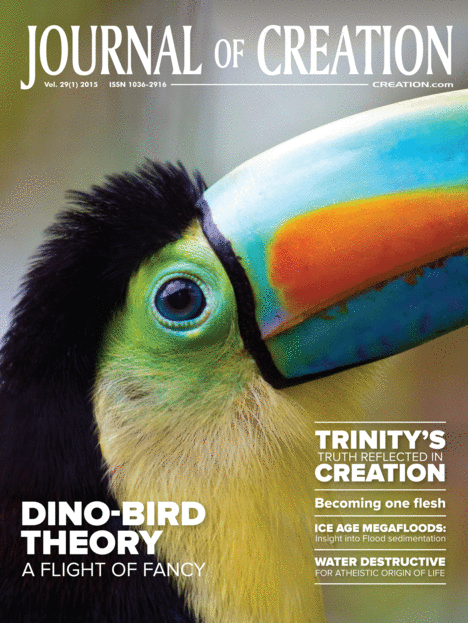 Journal of Creation - Issue Library