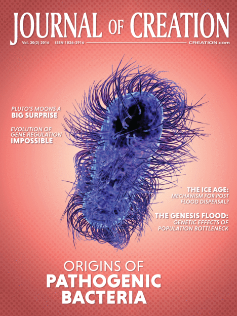 Journal of Creation - Issue Library